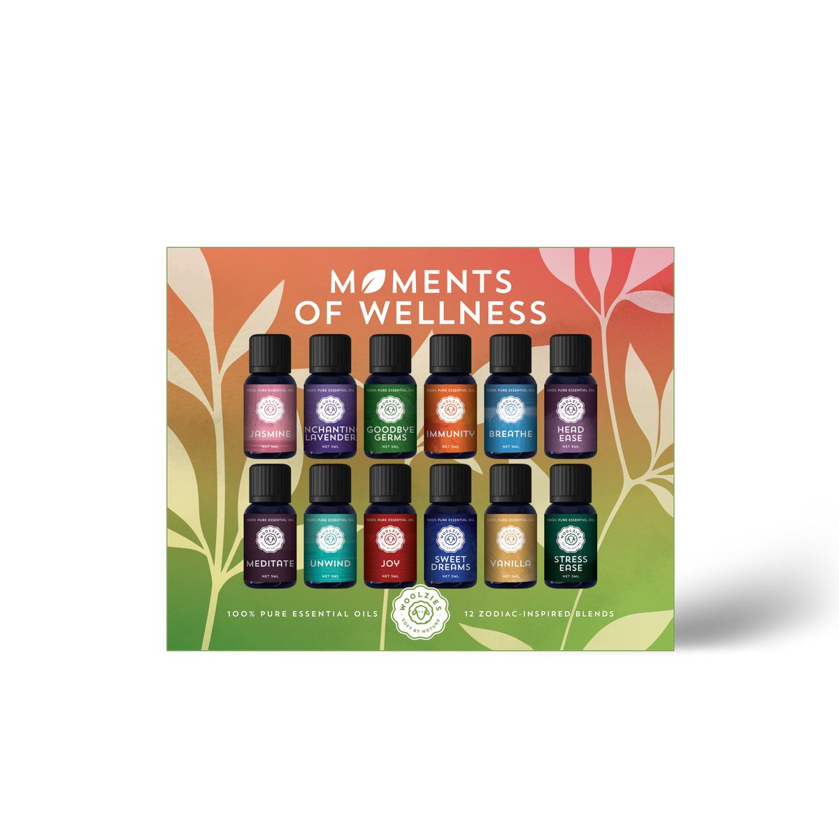 Moments of Wellness Essential Oil Set | 12 × 5ml – Woolzies.com